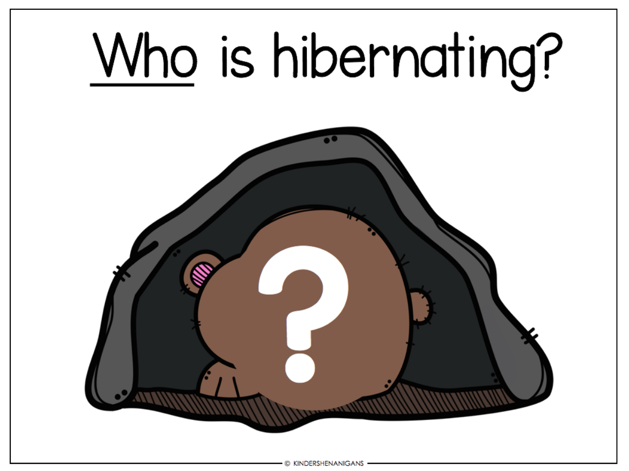 Hibernation Day Fun